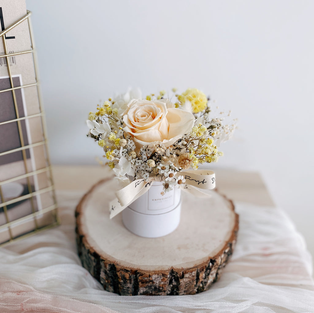 Everlasting Mini Bloom Box Champagne | Pretty Gifts | First Sight SG ...