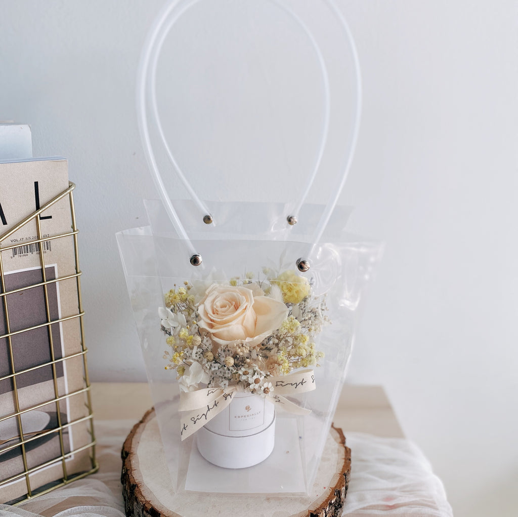 Everlasting Mini Bloom Box Champagne | Pretty Gifts | First Sight SG ...